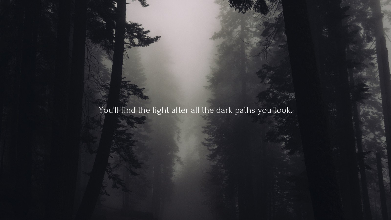 Black Forest Desktop Wallpapers - Wallpaper Cave