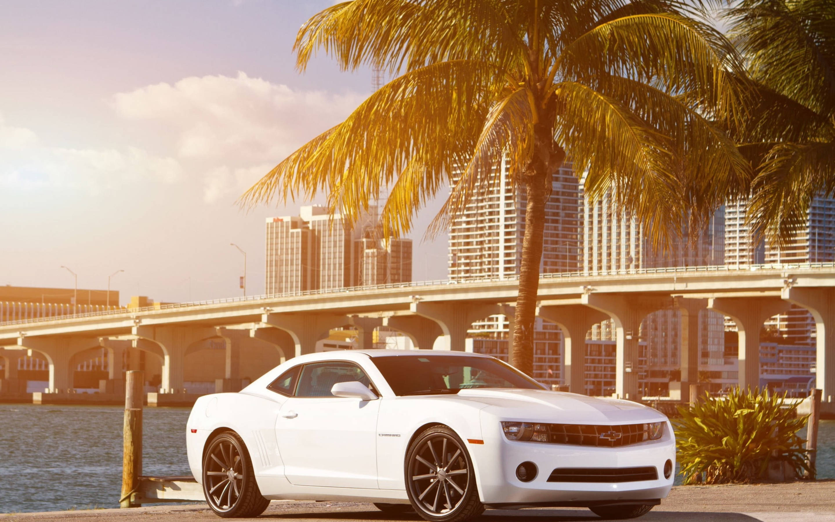 Cars Summer Wallpapers - Wallpaper Cave