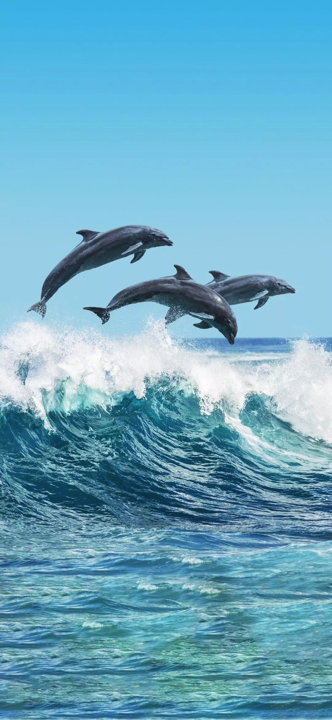 Vivo X200 FE Wallpapers - Wallpaper Cave