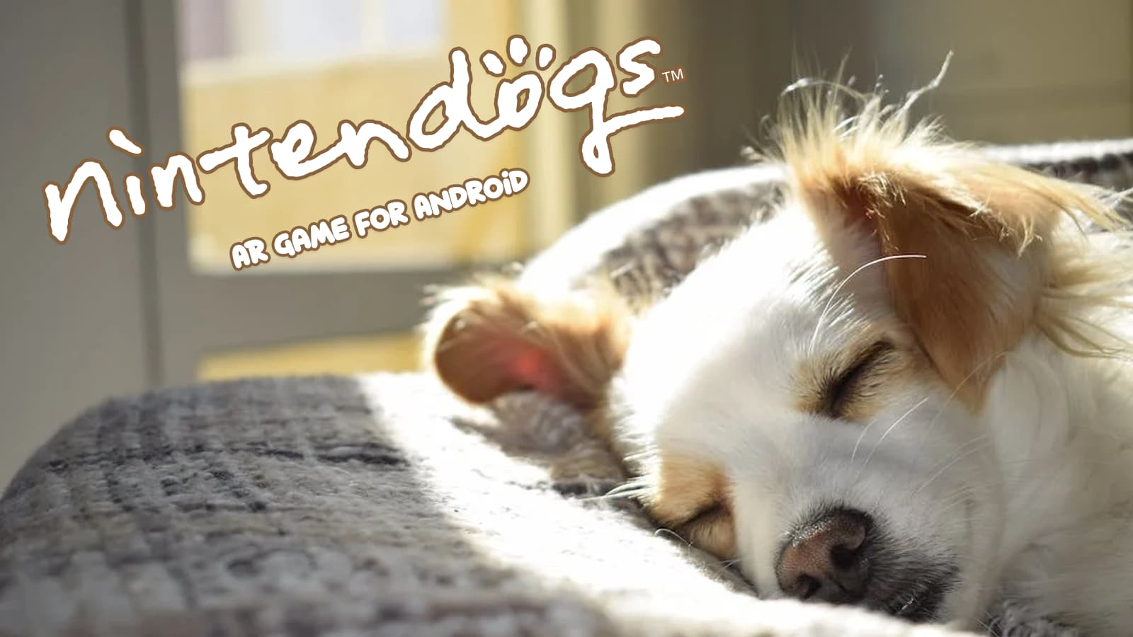 Nintendogs Wallpapers - Wallpaper Cave