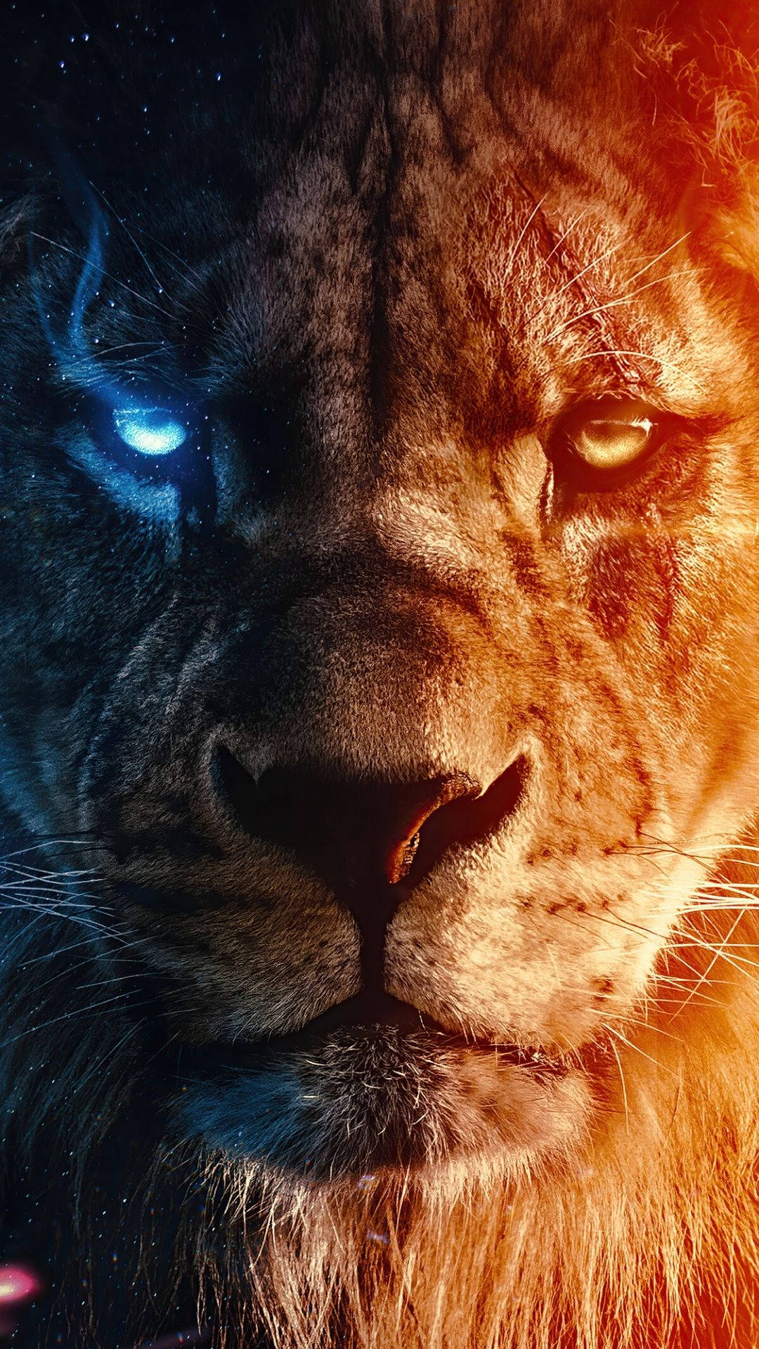 Fierce Lion Wallpapers - Wallpaper Cave