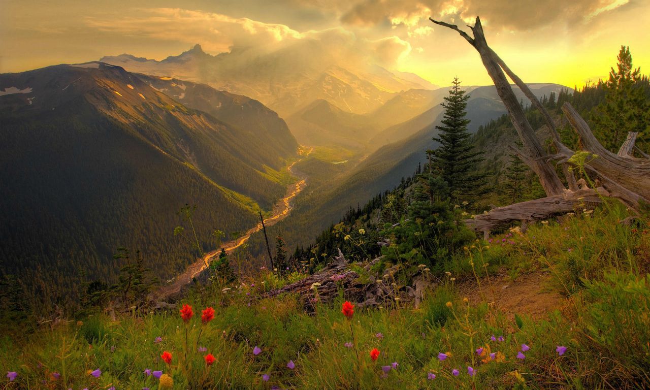 Splendid Wallpapers - Wallpaper Cave