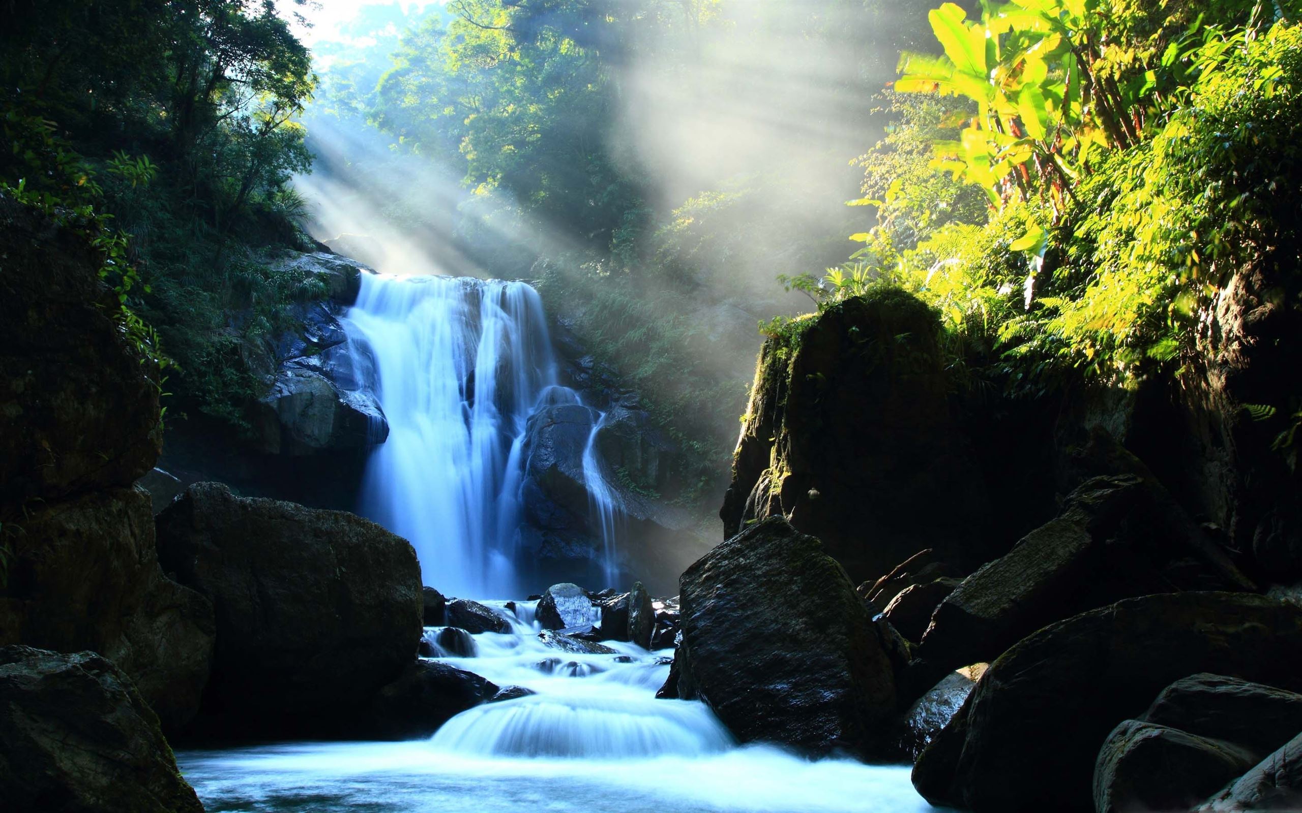 Splendid Wallpapers - Wallpaper Cave