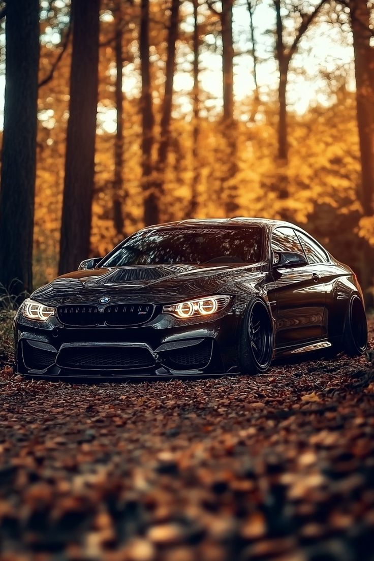 BMW Car Autumn Wallpapers - Wallpaper Cave