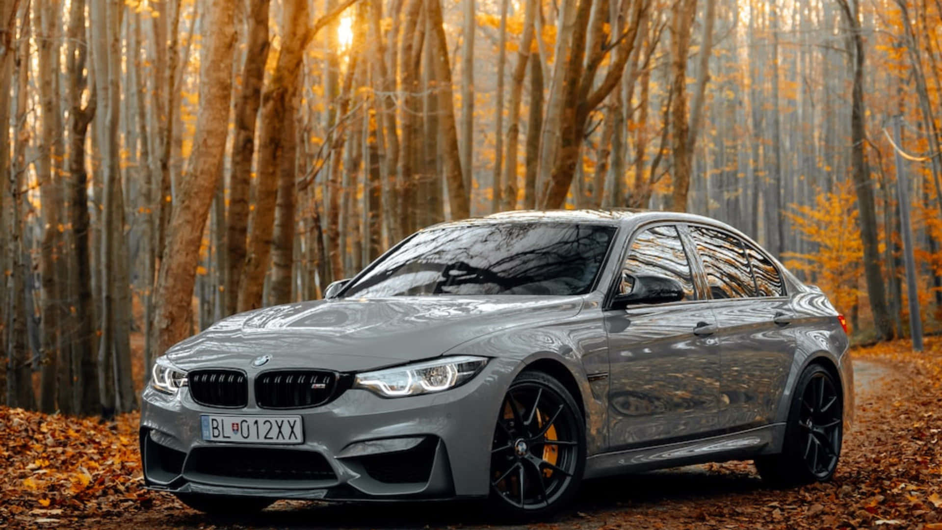 BMW Car Autumn Wallpapers - Wallpaper Cave