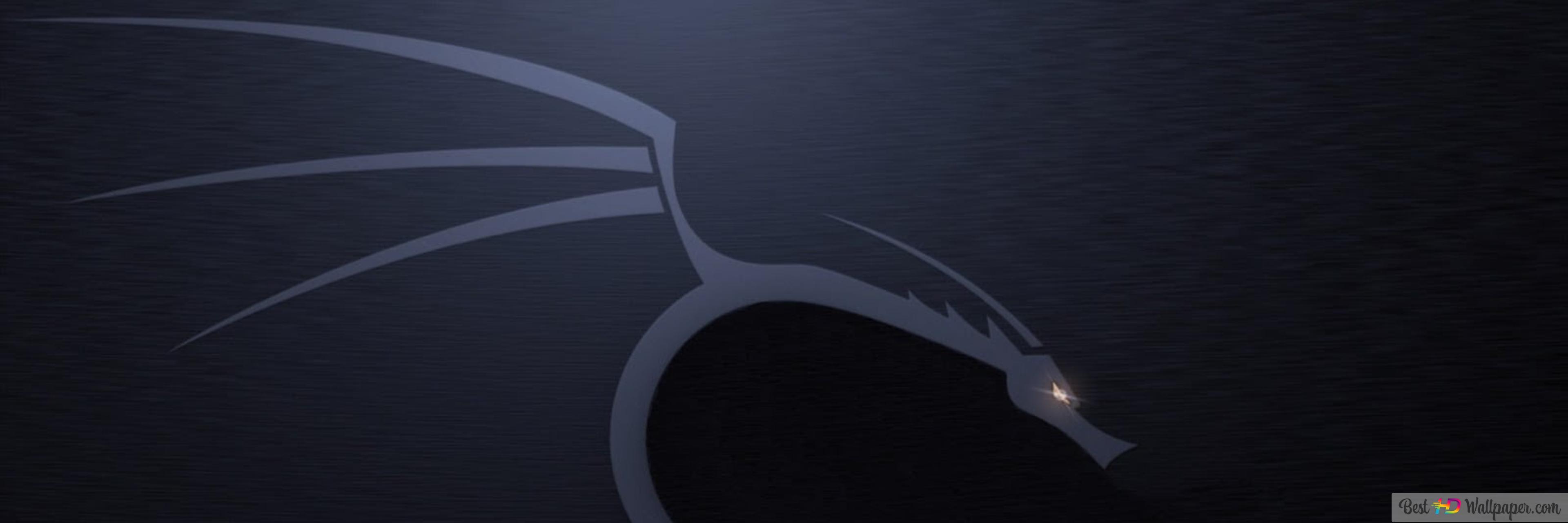 Linux Dragon Wallpapers - Wallpaper Cave