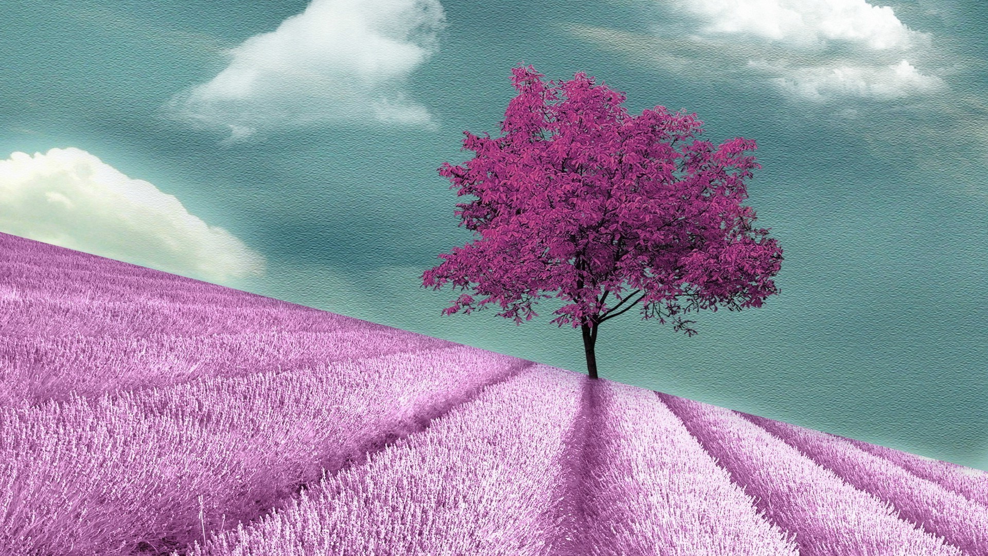 Summer Purple Desktop Wallpapers - Wallpaper Cave