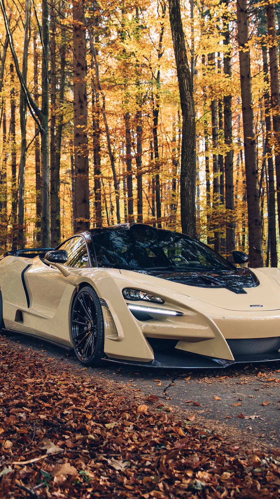 Autumn Forest Car Wallpapers - Wallpaper Cave