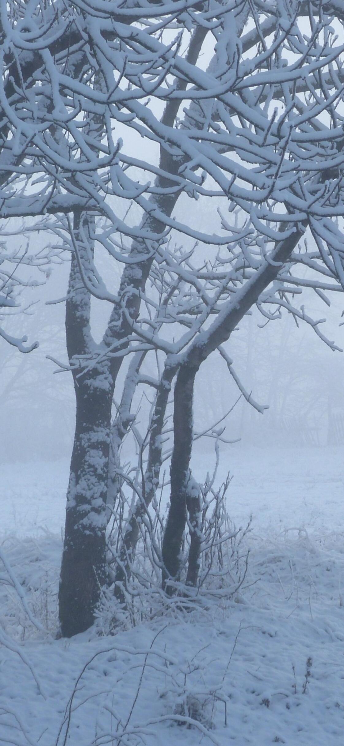 Snow Rain Wallpapers - Wallpaper Cave