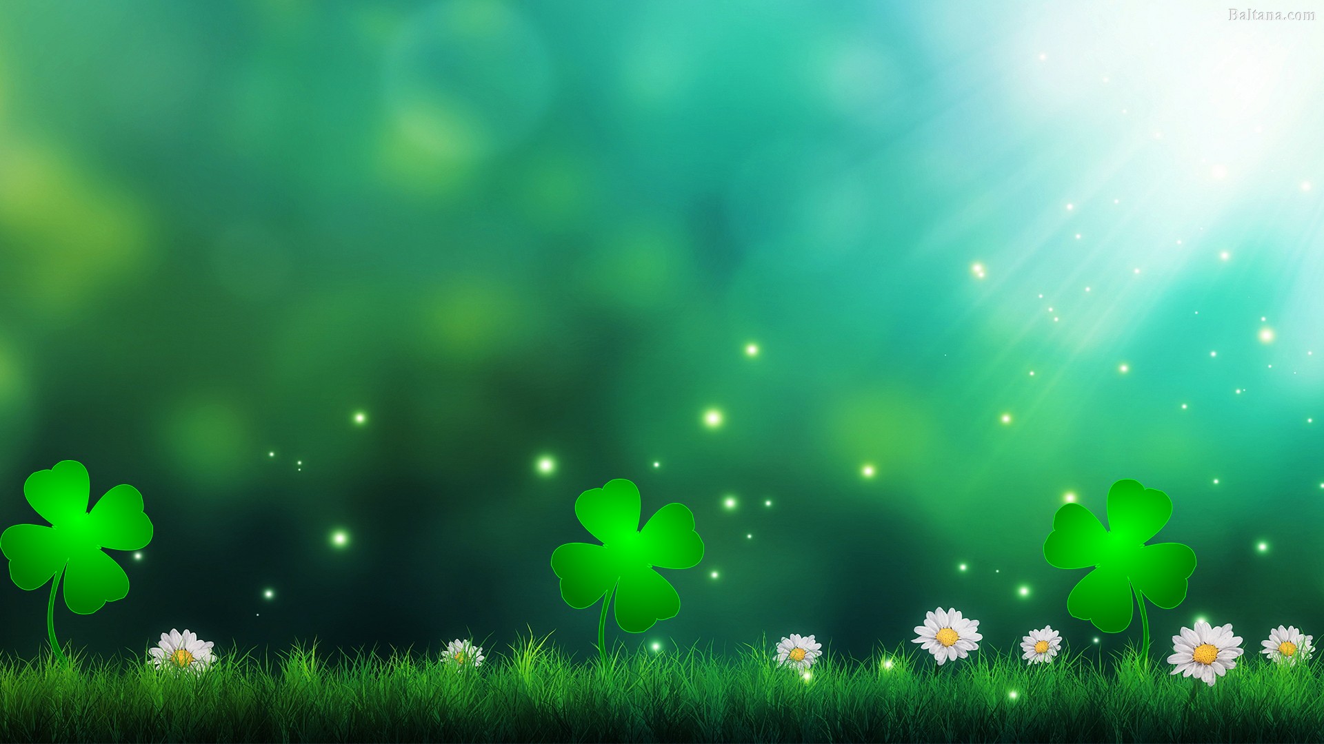 Clovers Wallpapers - Wallpaper Cave