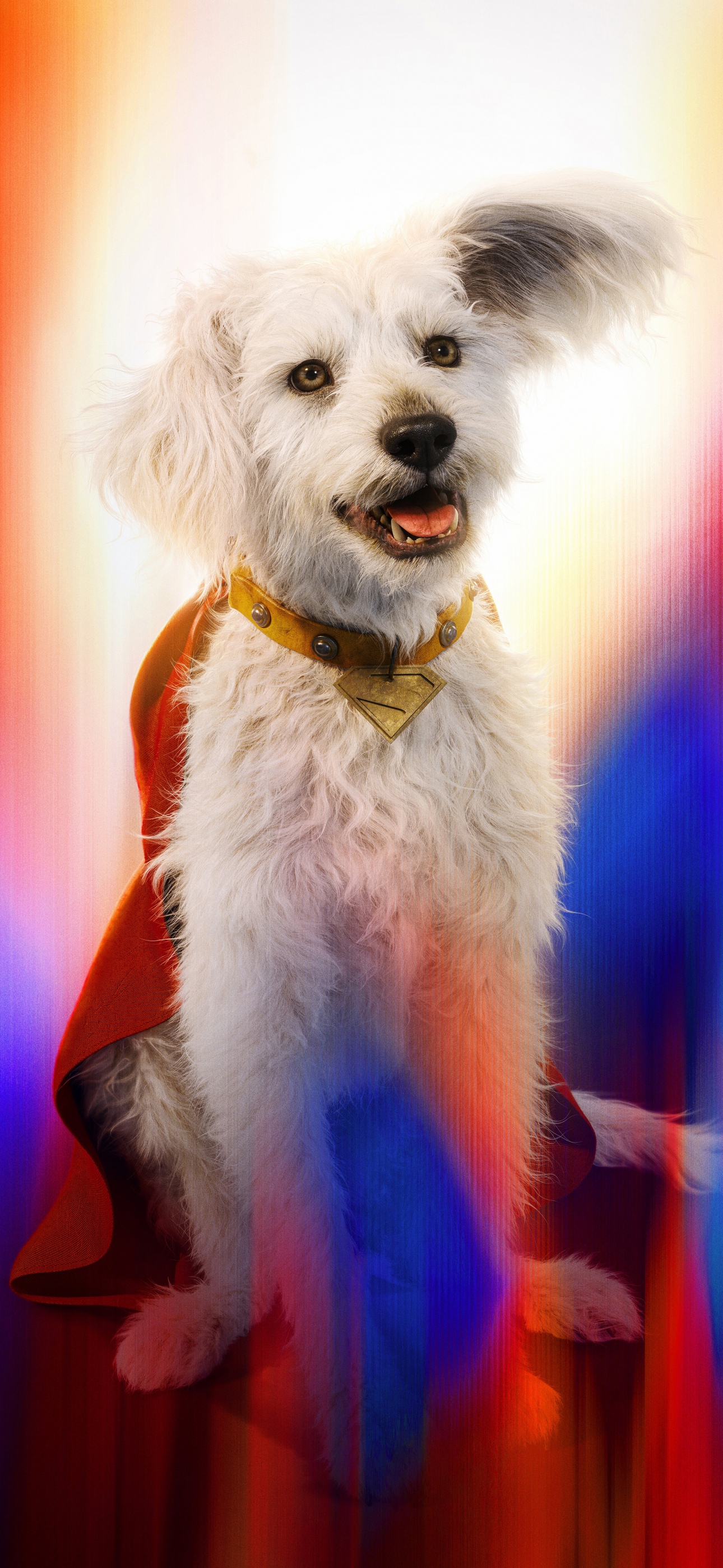 Krypto The Superdog 2025 Wallpapers - Wallpaper Cave