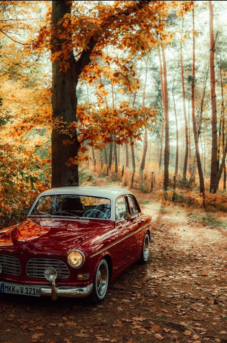 Autumn Forest Car Wallpapers - Wallpaper Cave