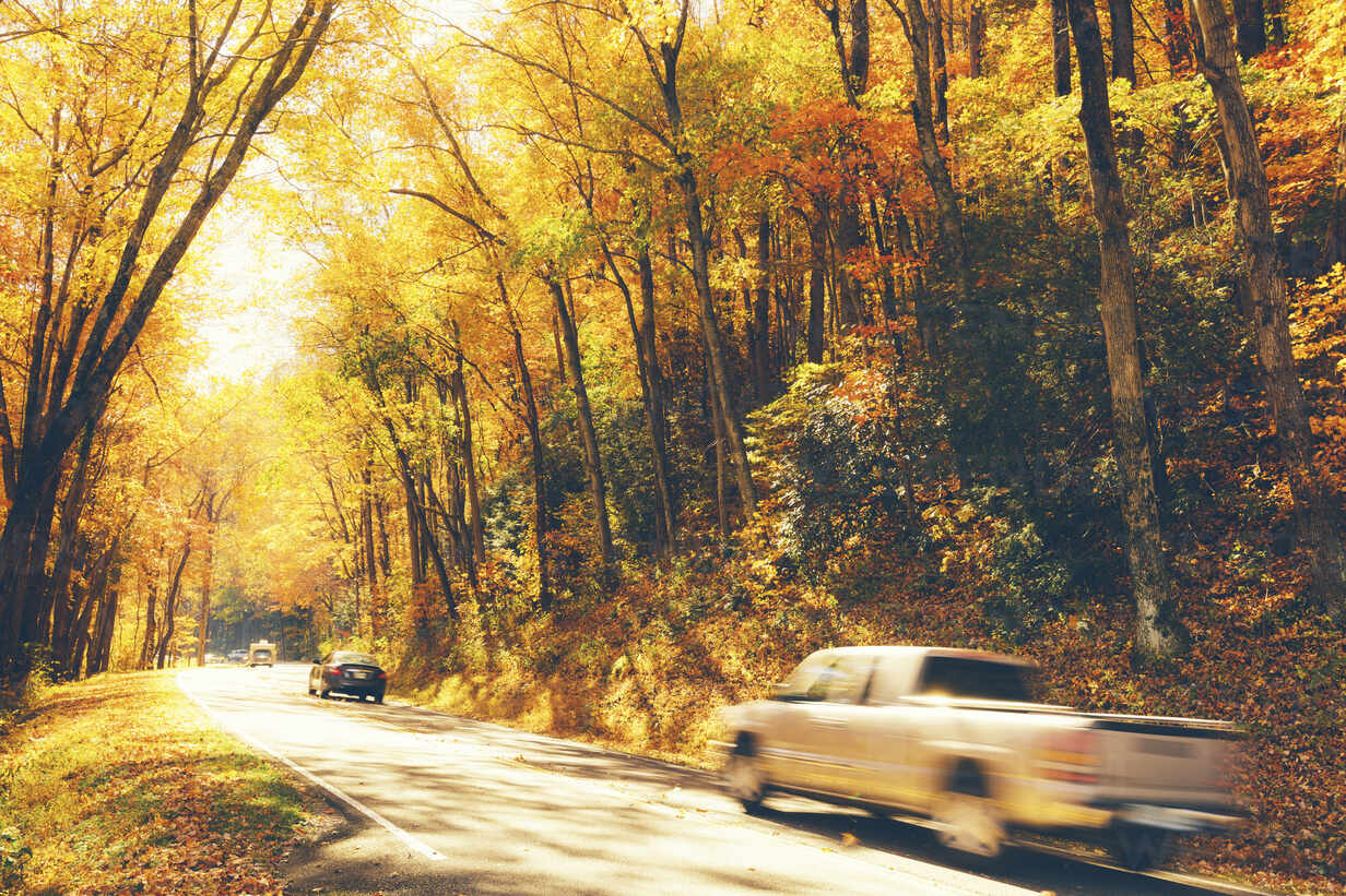 Autumn Forest Car Wallpapers - Wallpaper Cave