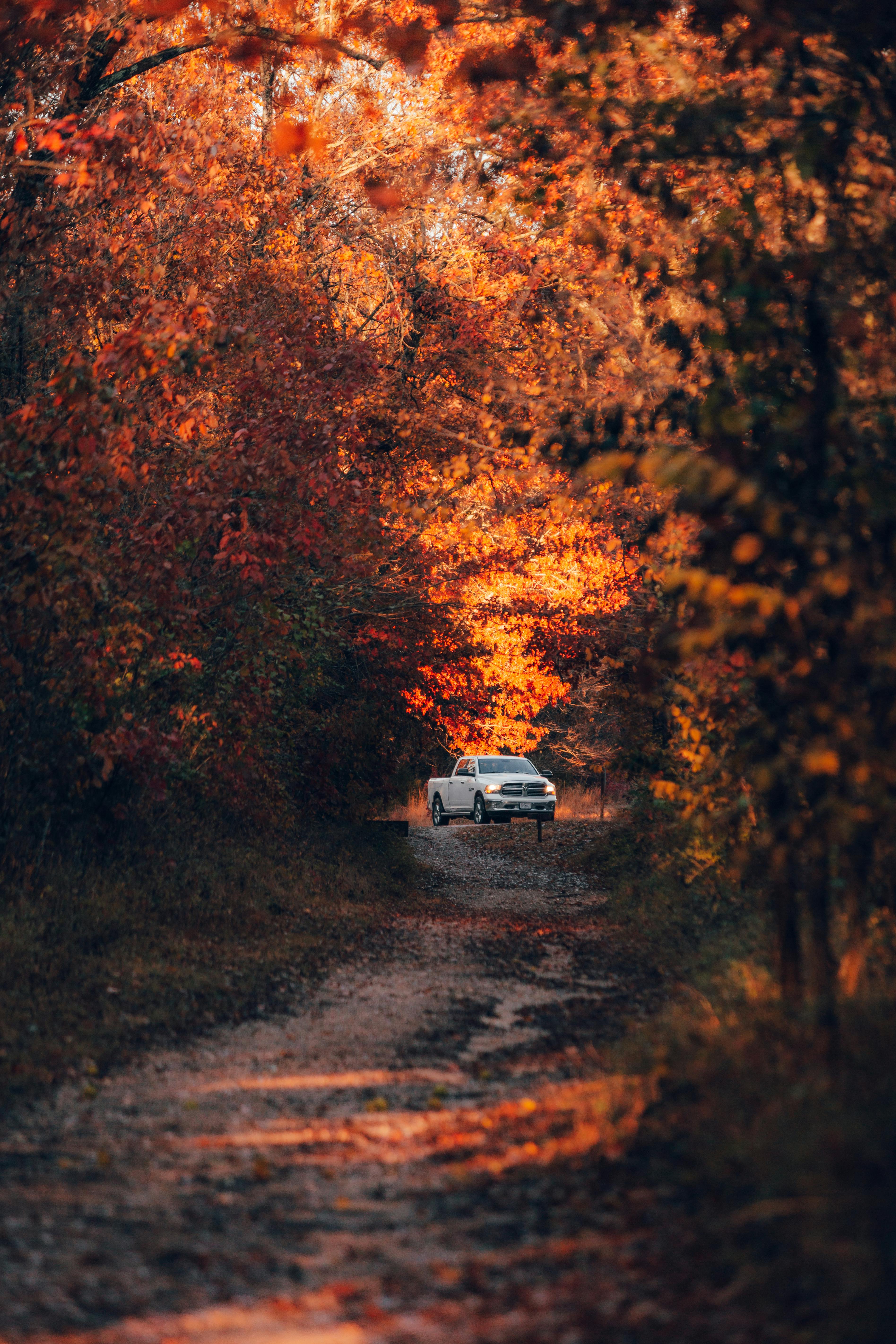 Autumn Forest Car Wallpapers - Wallpaper Cave