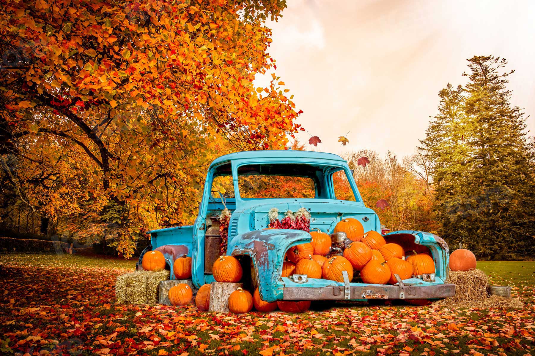 Autumn Forest Car Wallpapers - Wallpaper Cave