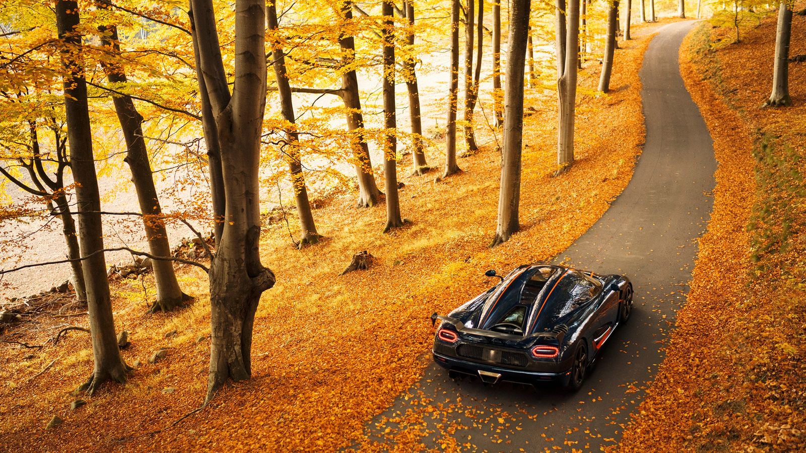 Autumn Forest Car Wallpapers - Wallpaper Cave
