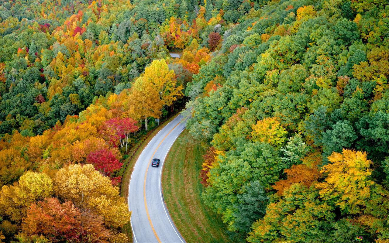 Autumn Forest Car Wallpapers - Wallpaper Cave