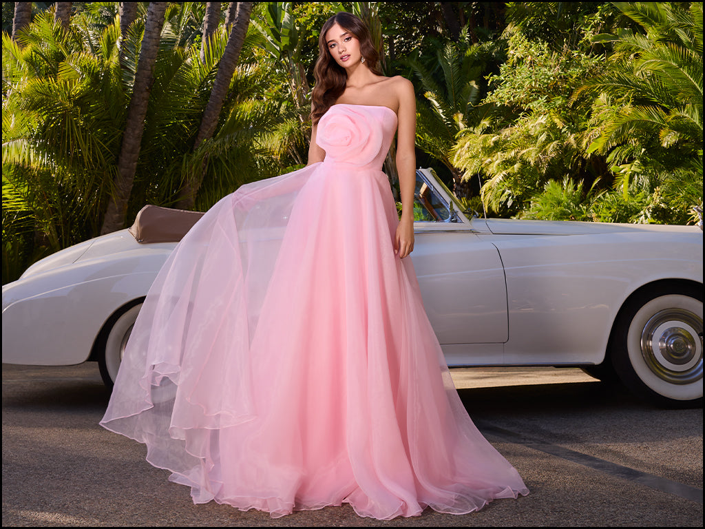 Ballgown Wallpapers - Wallpaper Cave