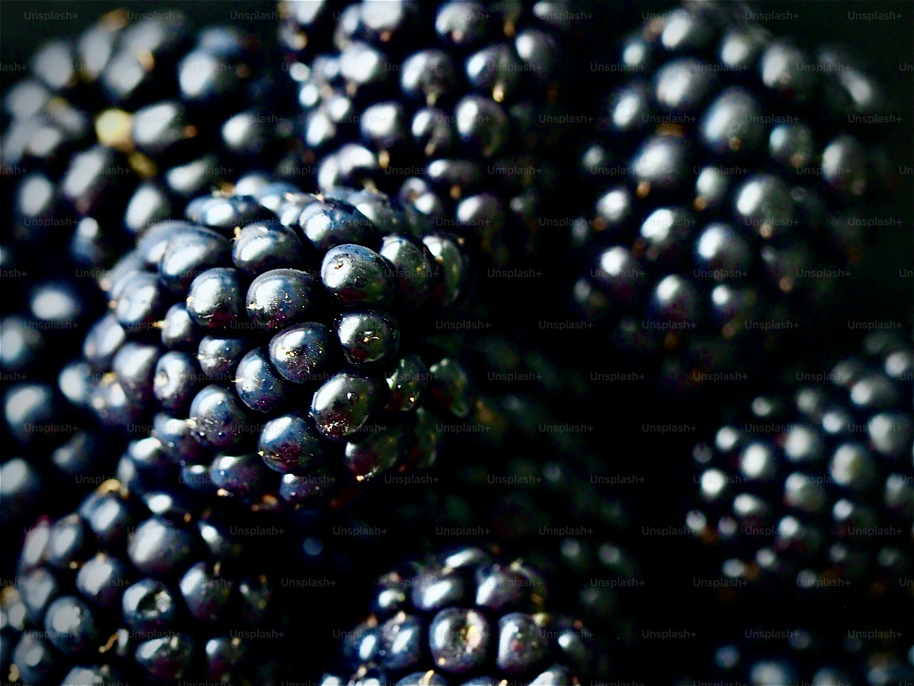 Blackberries Wallpapers - Wallpaper Cave