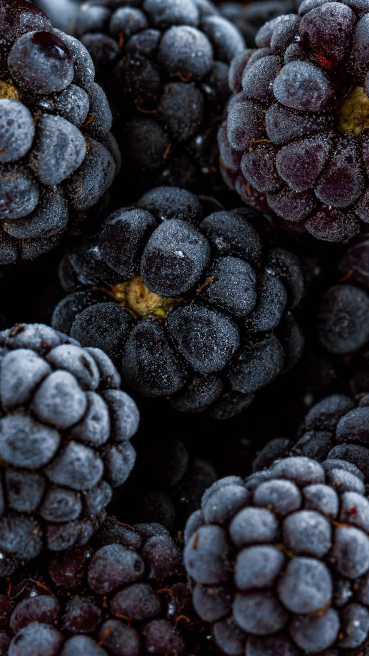 Blackberries Wallpapers - Wallpaper Cave