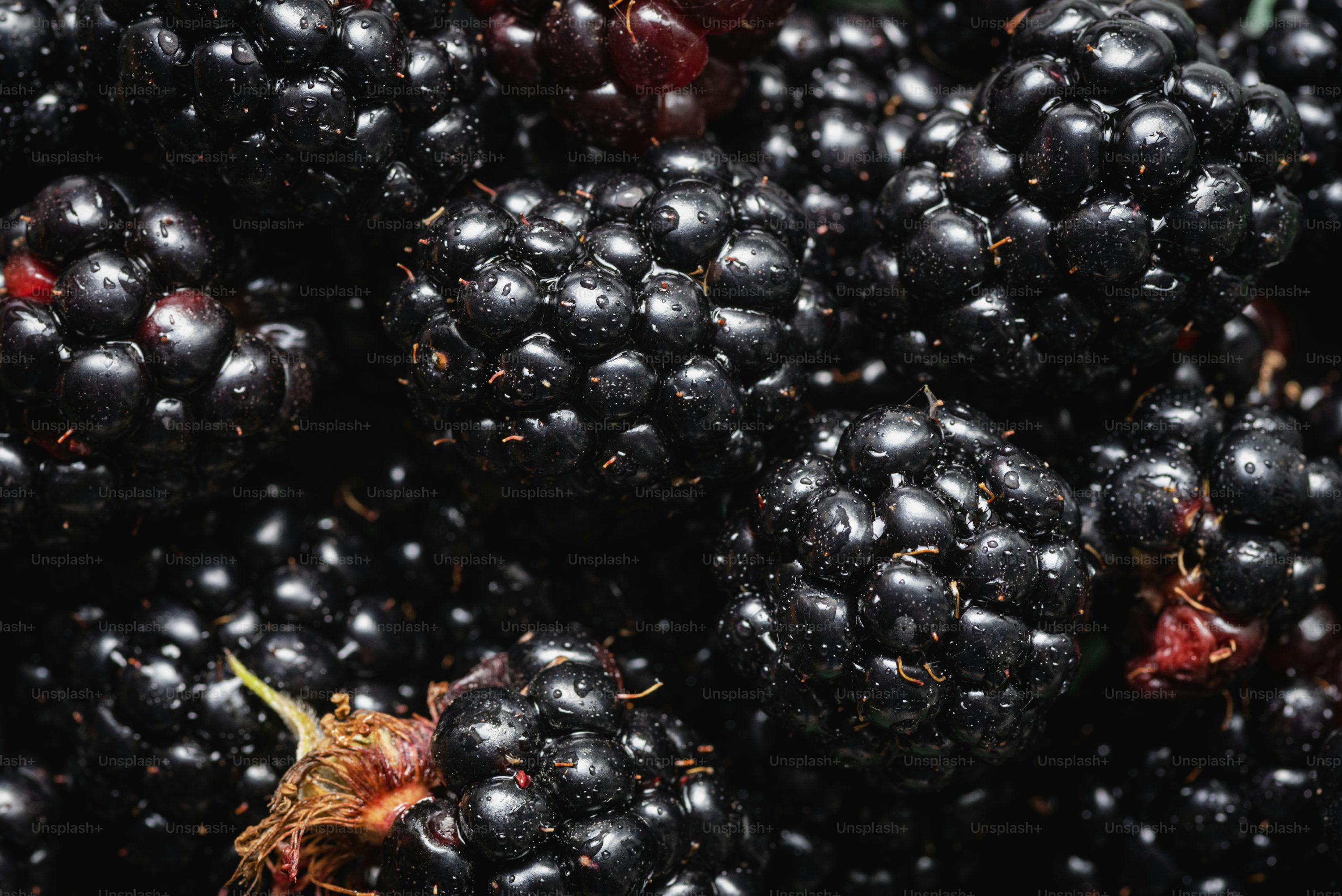 Blackberries Wallpapers - Wallpaper Cave