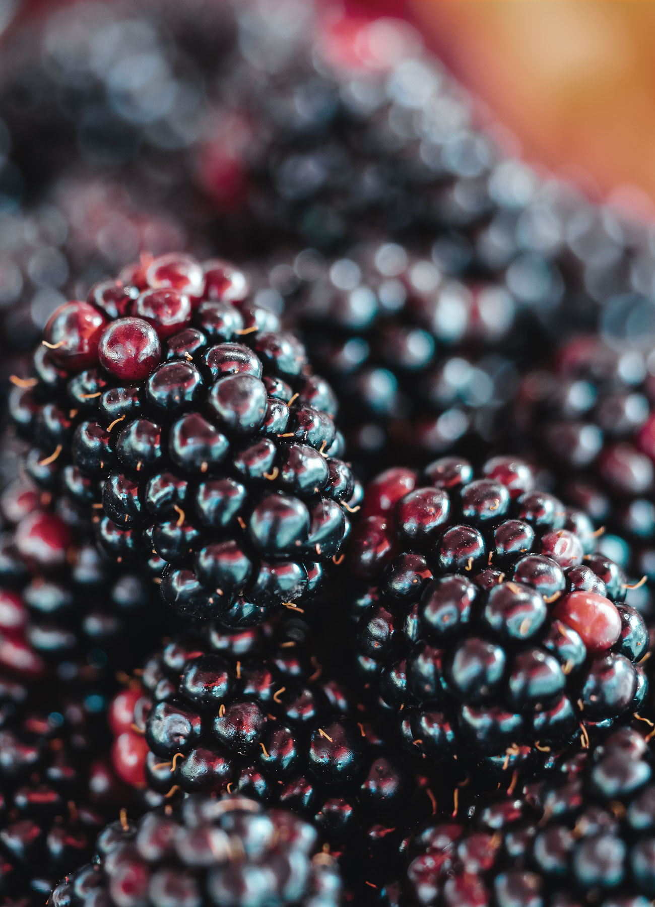 Blackberries Wallpapers - Wallpaper Cave