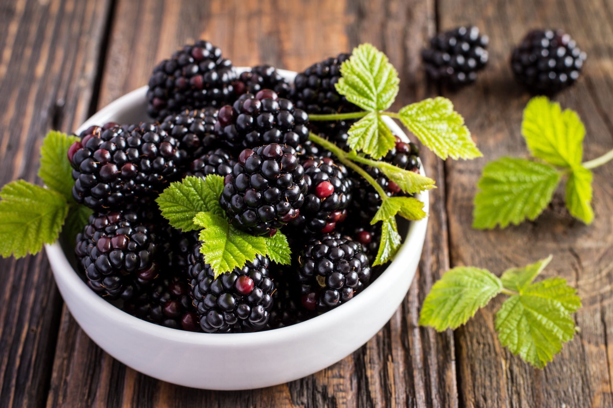 Blackberries Wallpapers - Wallpaper Cave
