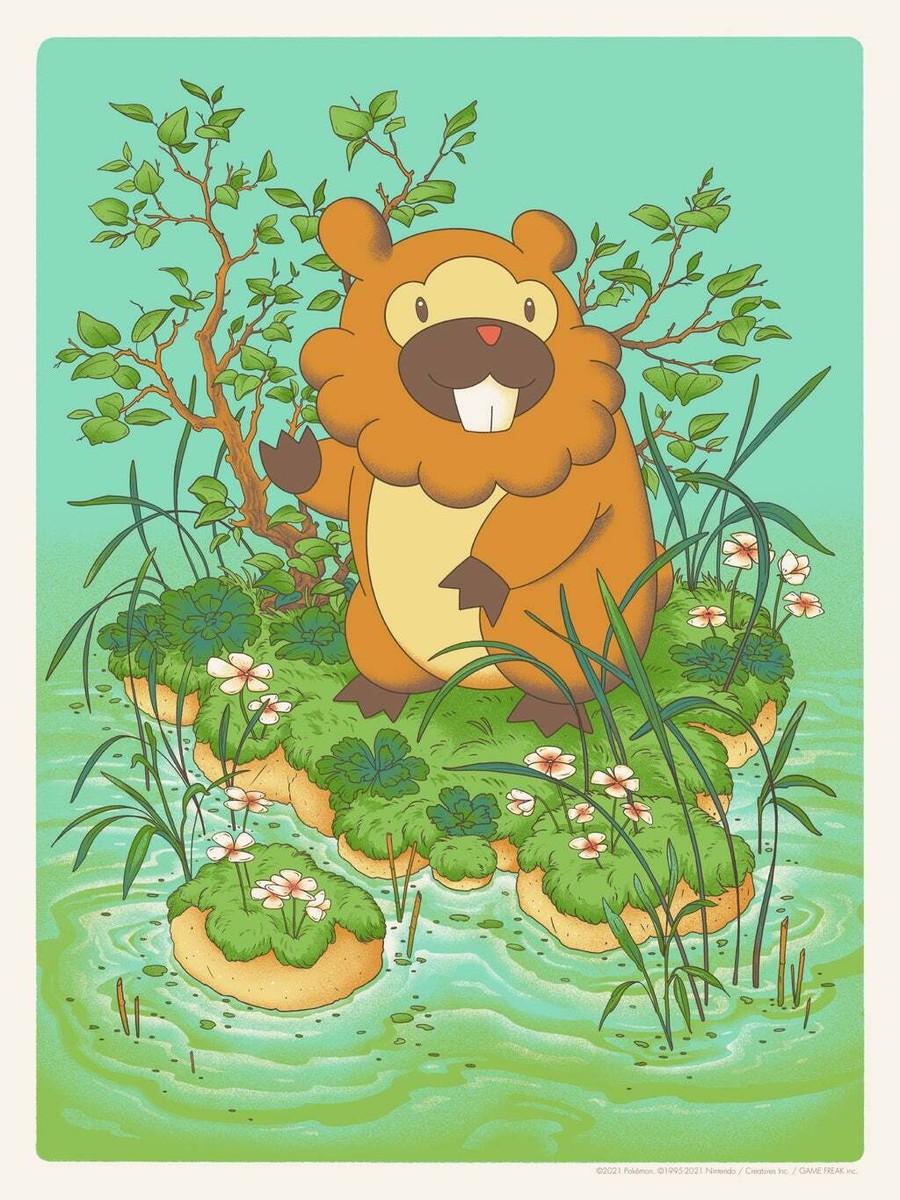 Bidoof Wallpapers - Wallpaper Cave