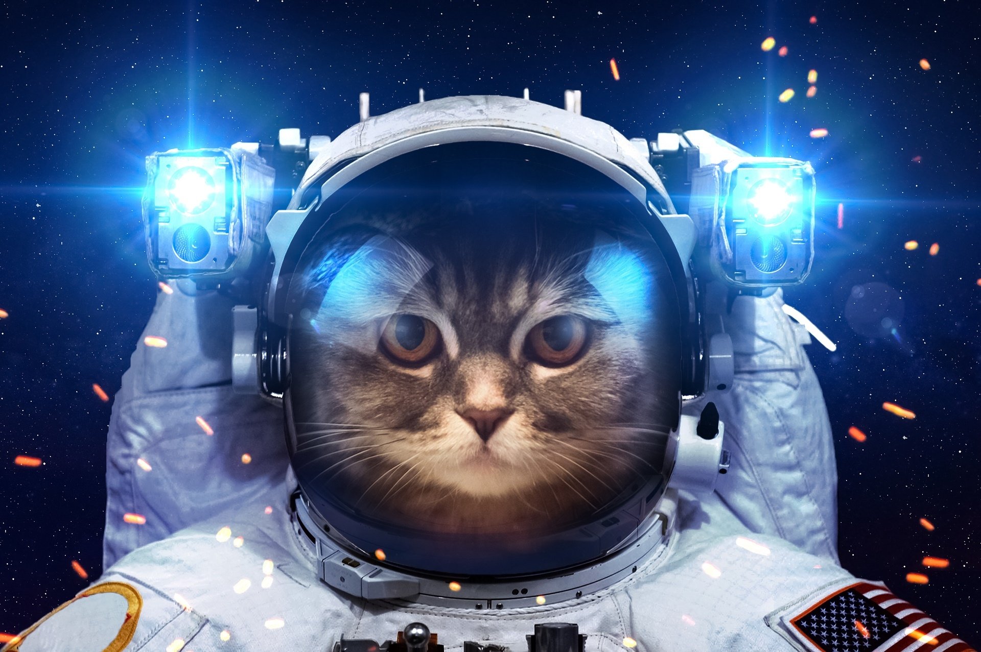 Cosmic Cat Wallpapers - Wallpaper Cave