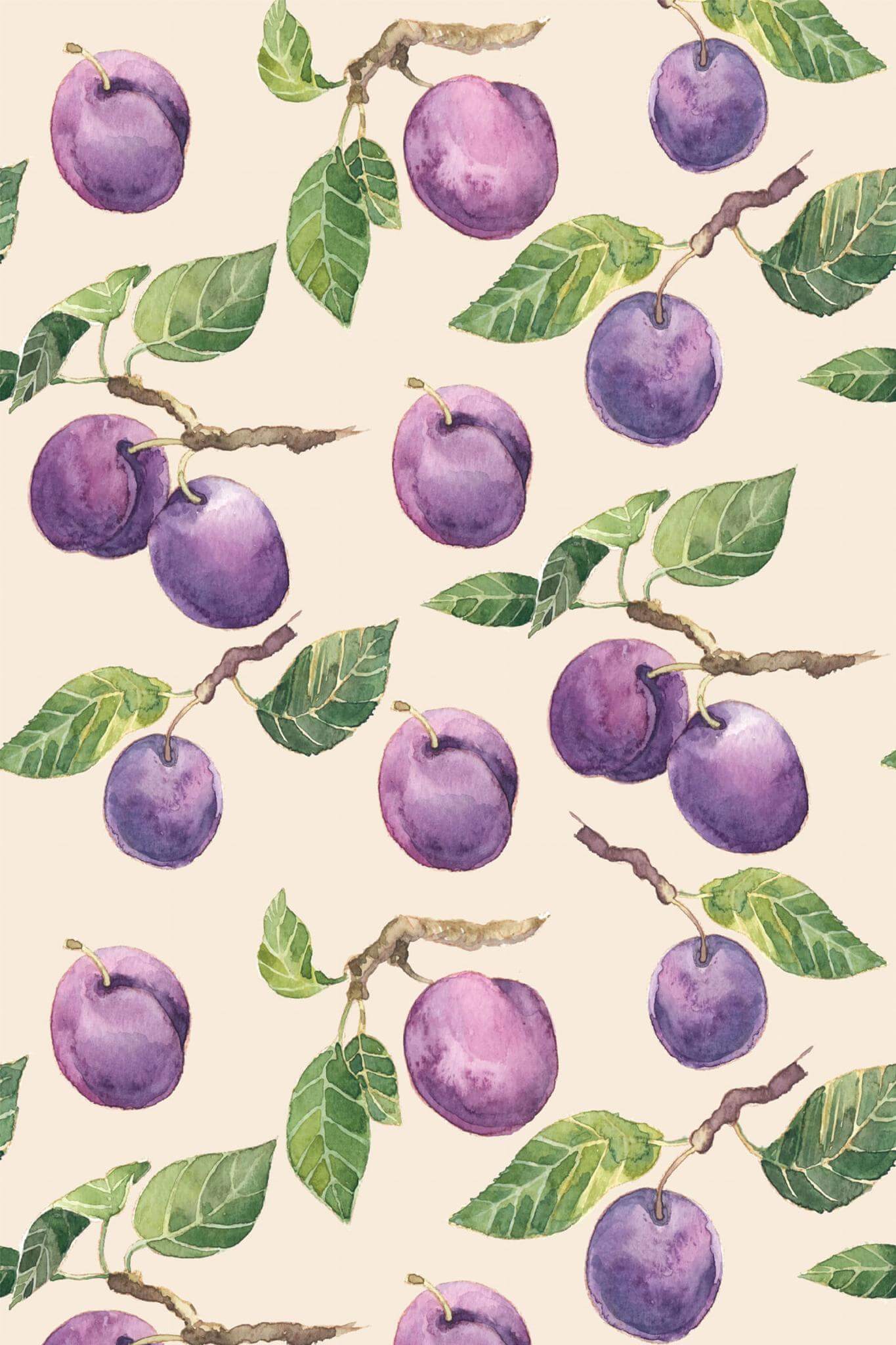 Plum Wallpapers - Wallpaper Cave