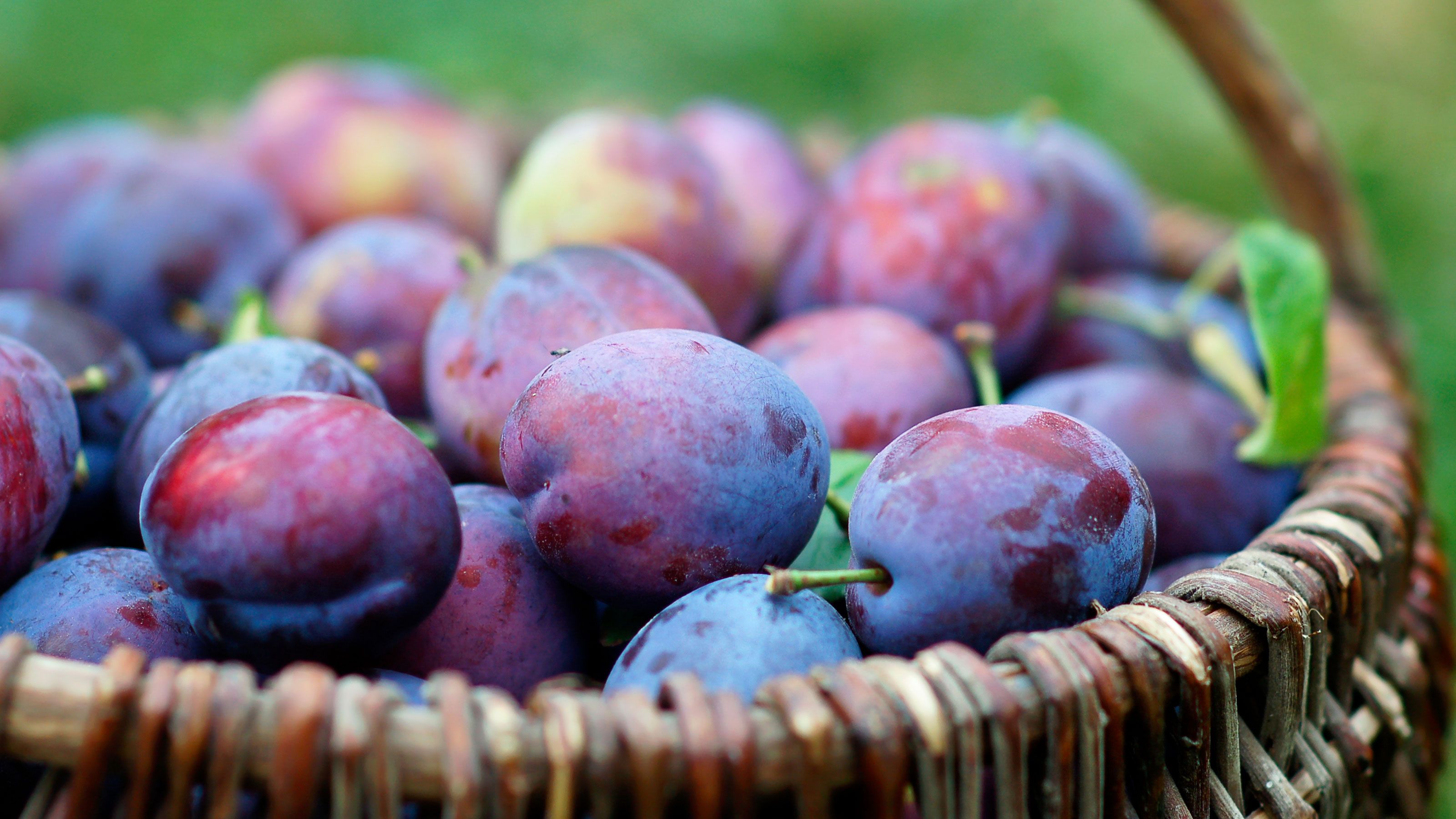Plums Wallpapers - Wallpaper Cave