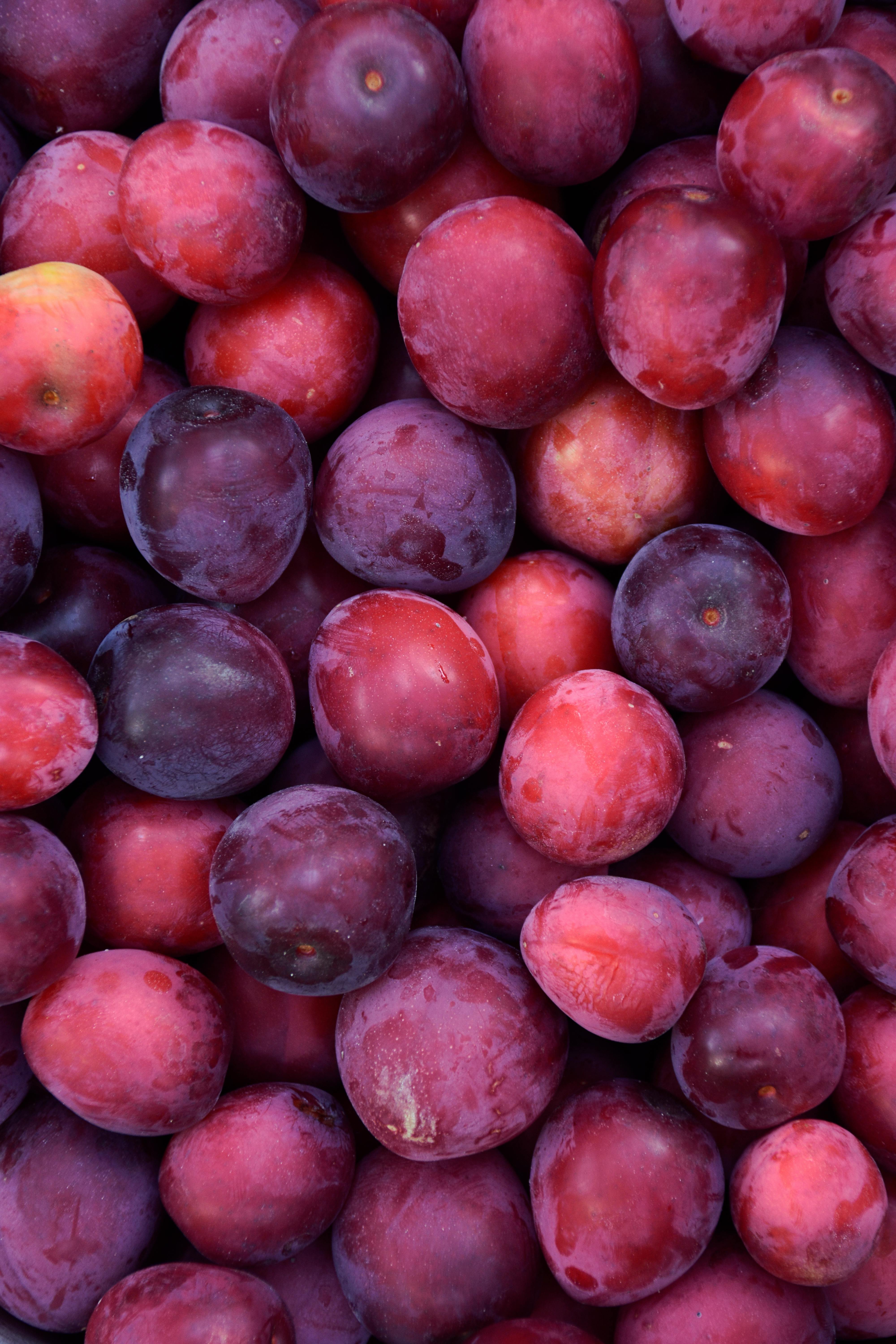 Plums Wallpapers - Wallpaper Cave