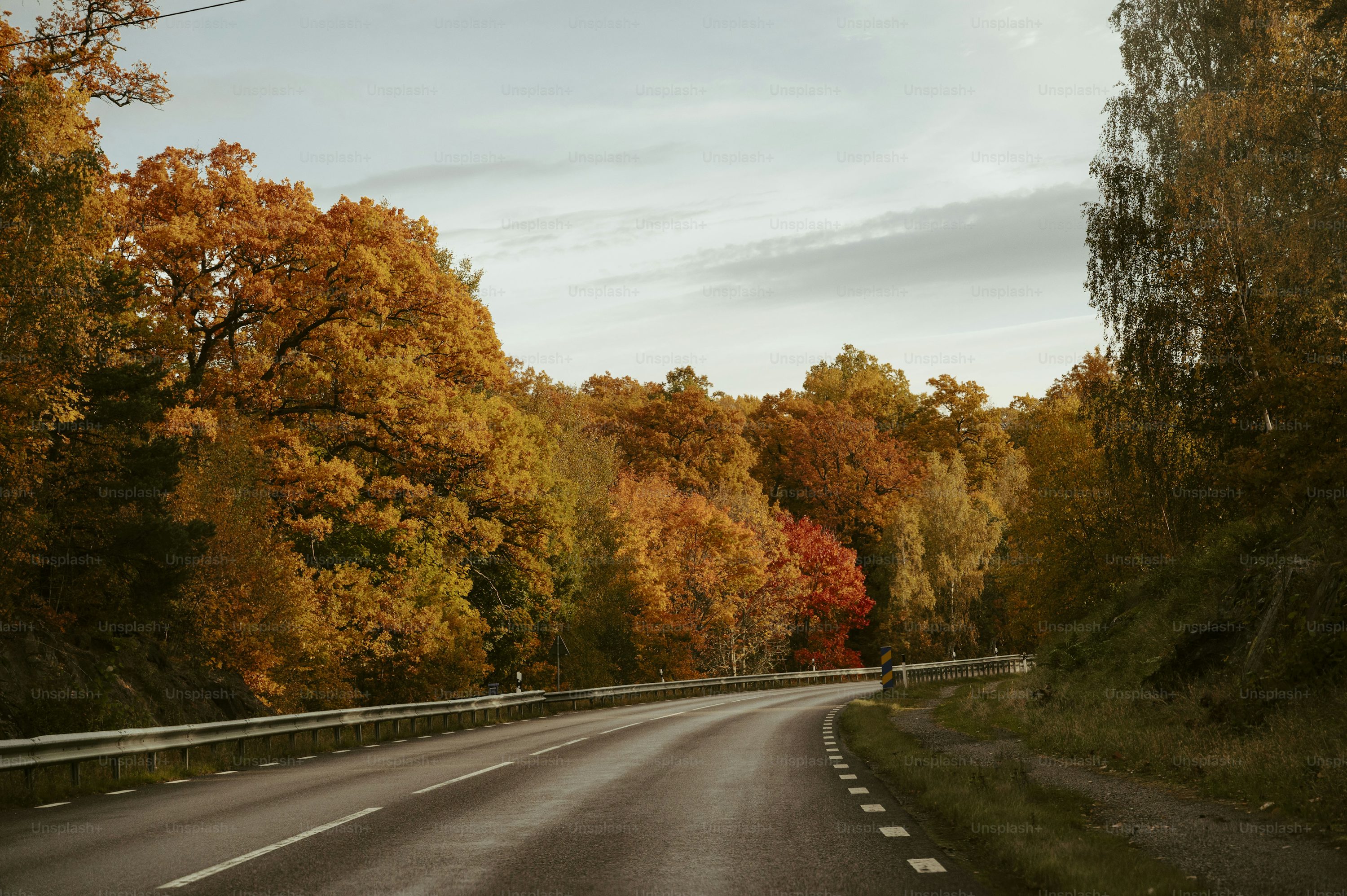 Autumn Season Road Wallpapers - Wallpaper Cave
