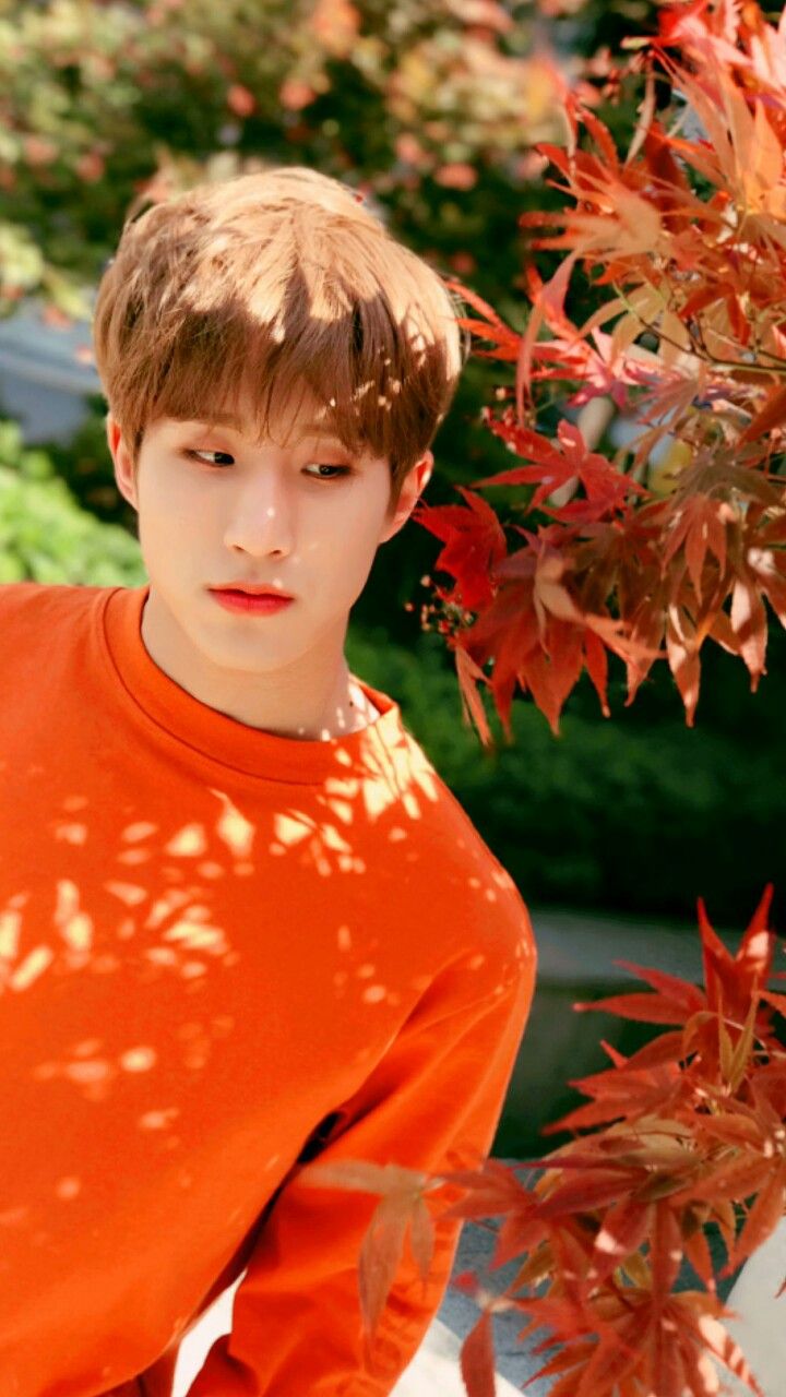 JinJin Astro Wallpapers - Wallpaper Cave