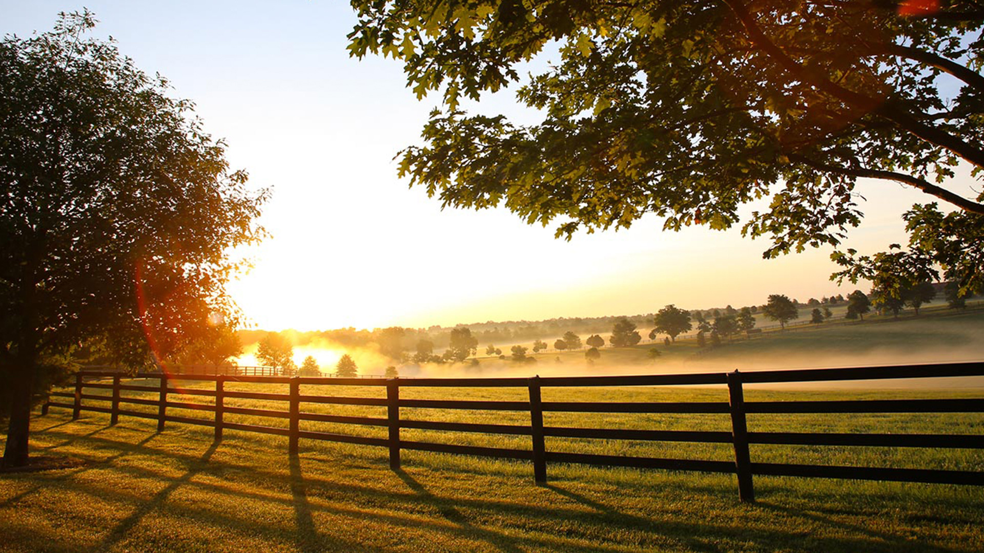 Lexington Wallpapers - Wallpaper Cave