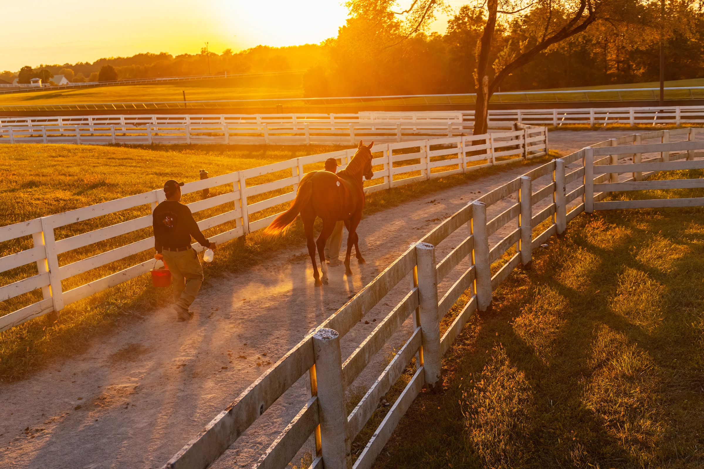 Lexington Wallpapers - Wallpaper Cave