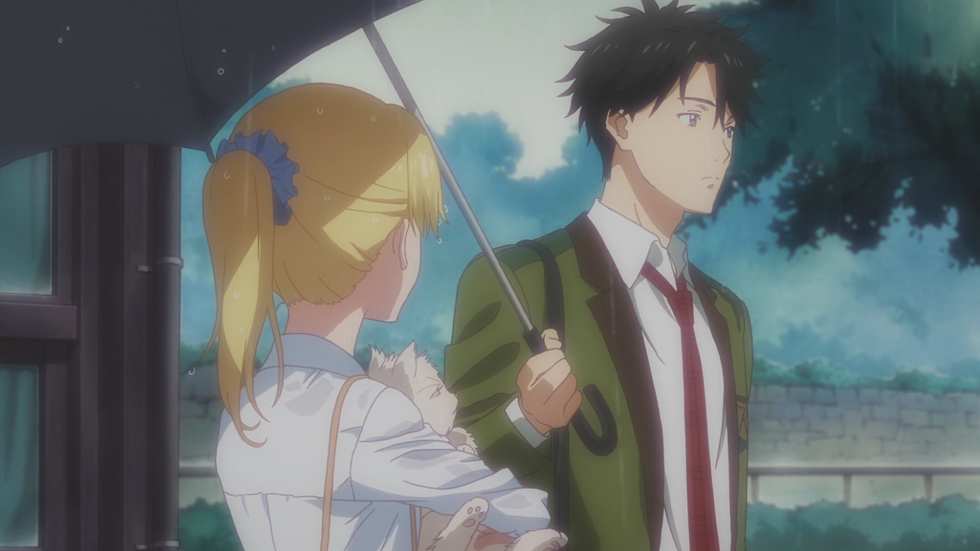 Tada Never Falls In Love Wallpapers - Wallpaper Cave