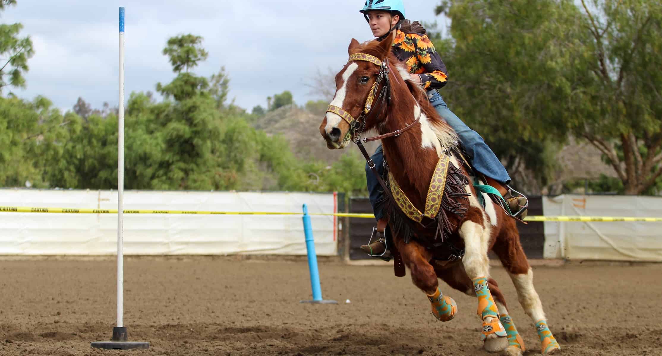 Pole Bending Wallpapers - Wallpaper Cave