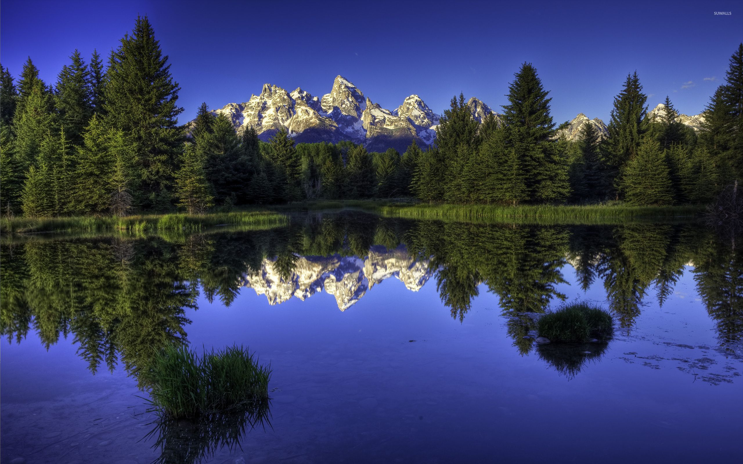 Calm Forest Wallpapers - Wallpaper Cave