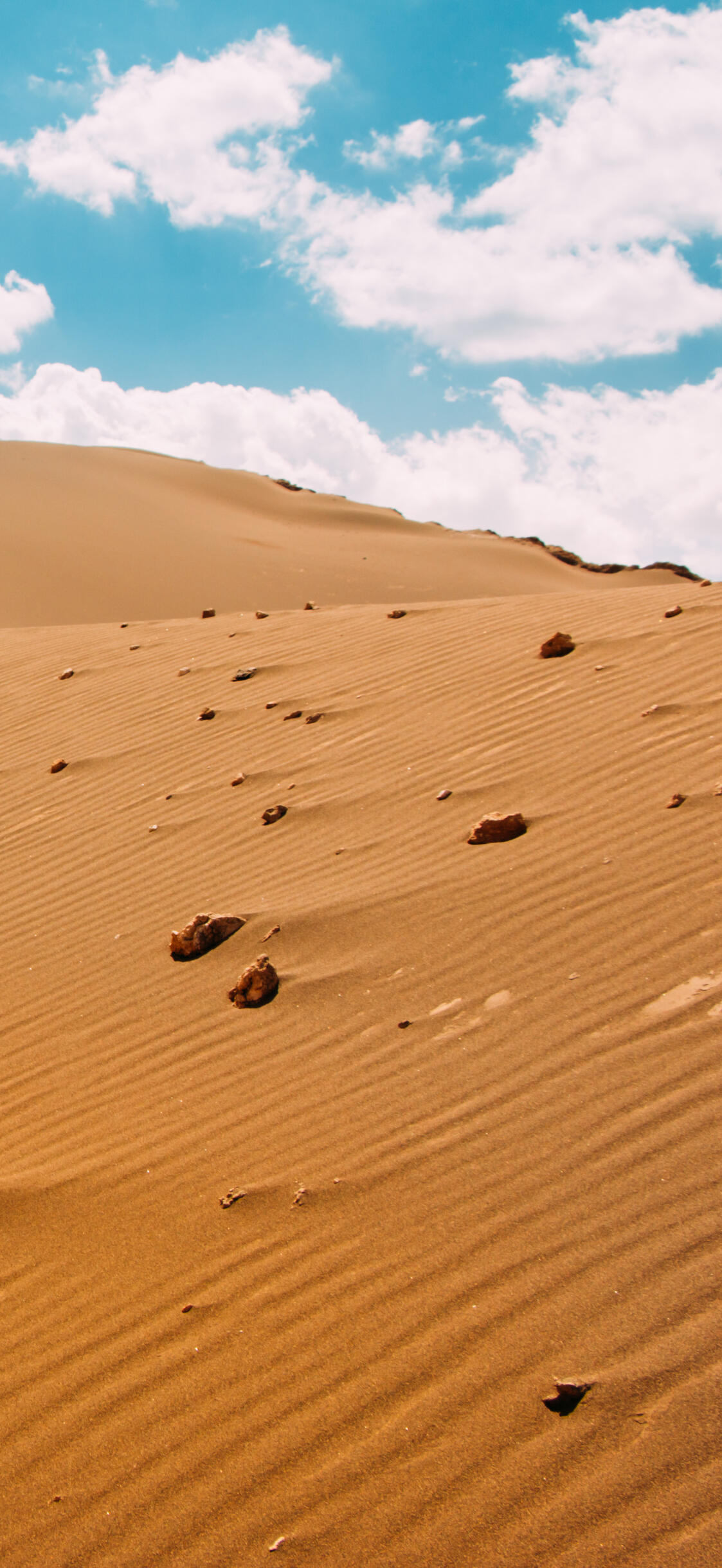 Sahara iPhone Wallpapers - Wallpaper Cave