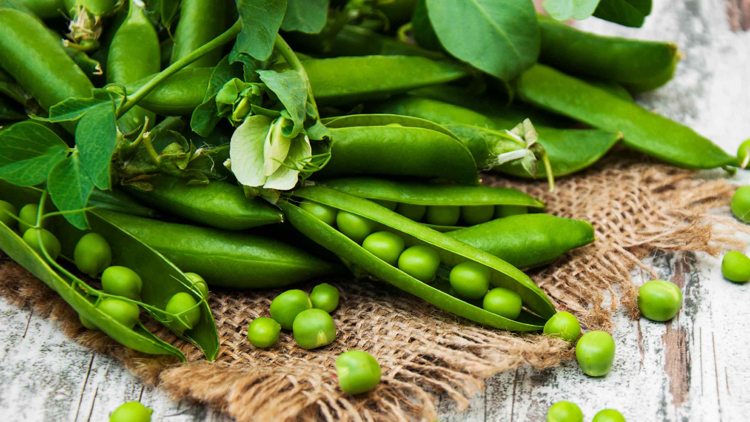 Peas Wallpapers - Wallpaper Cave