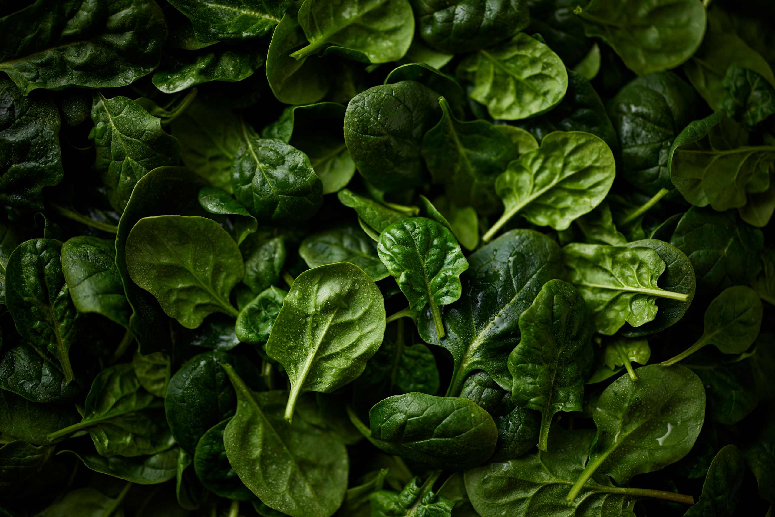 Spinach Wallpapers - Wallpaper Cave