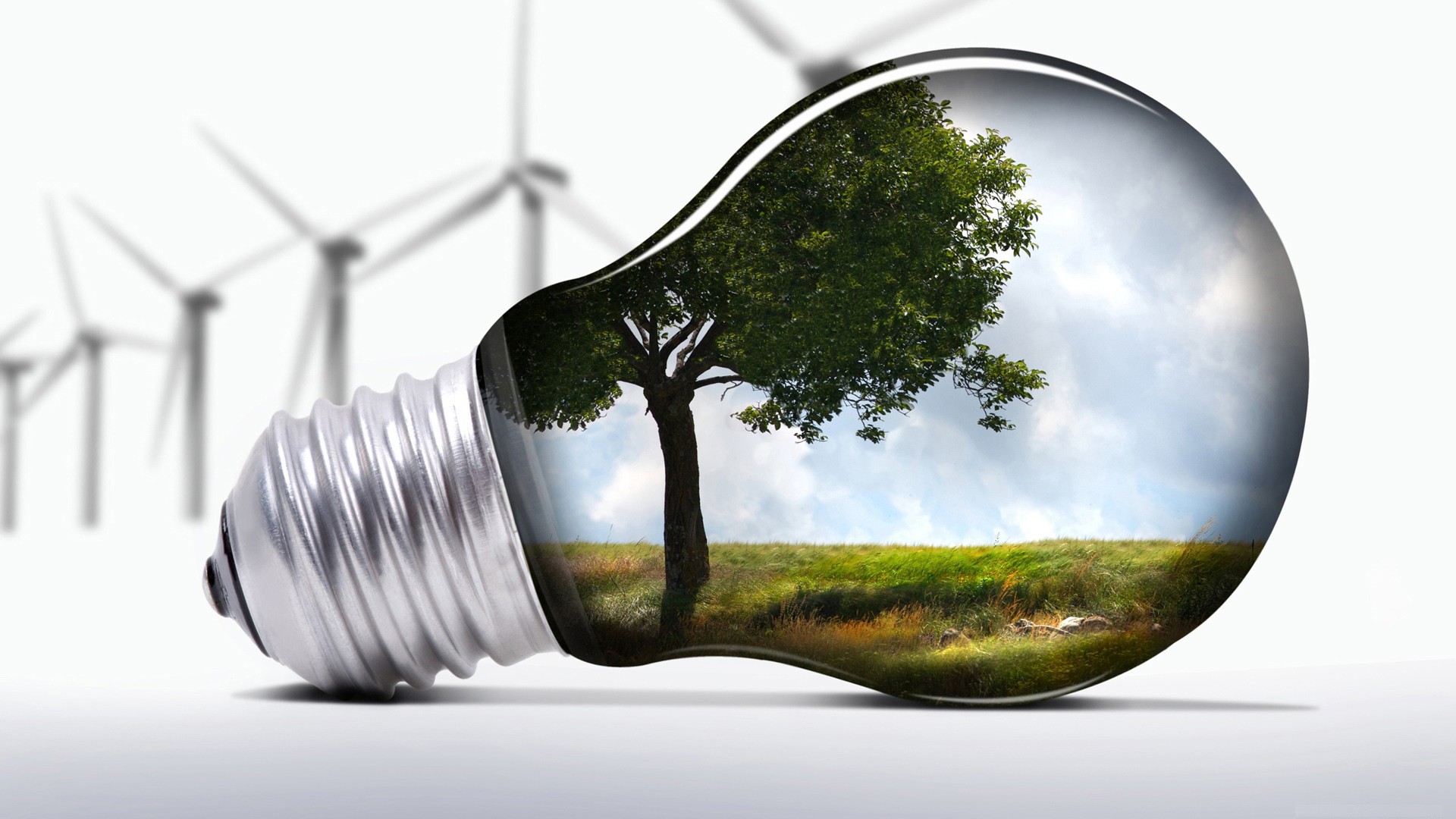 Nature In A Light Bulb Wallpapers - Wallpaper Cave