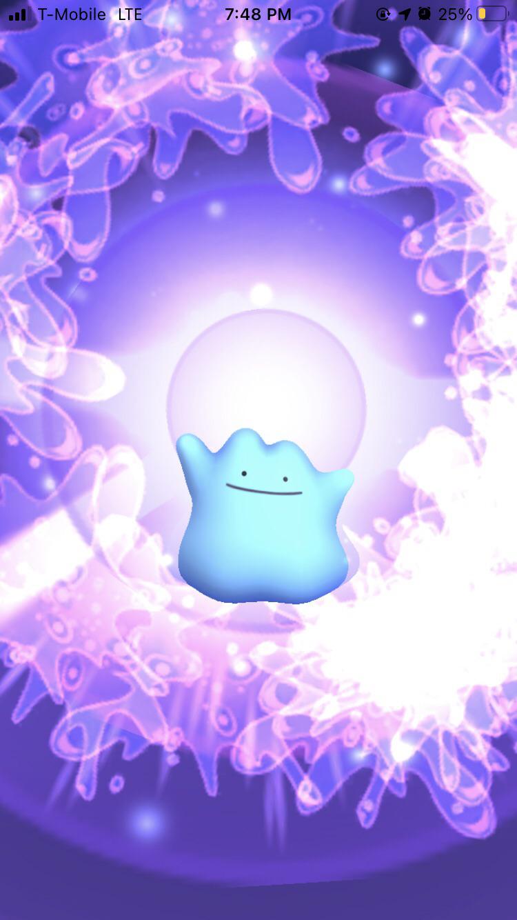 Shiny Ditto Wallpapers - Wallpaper Cave