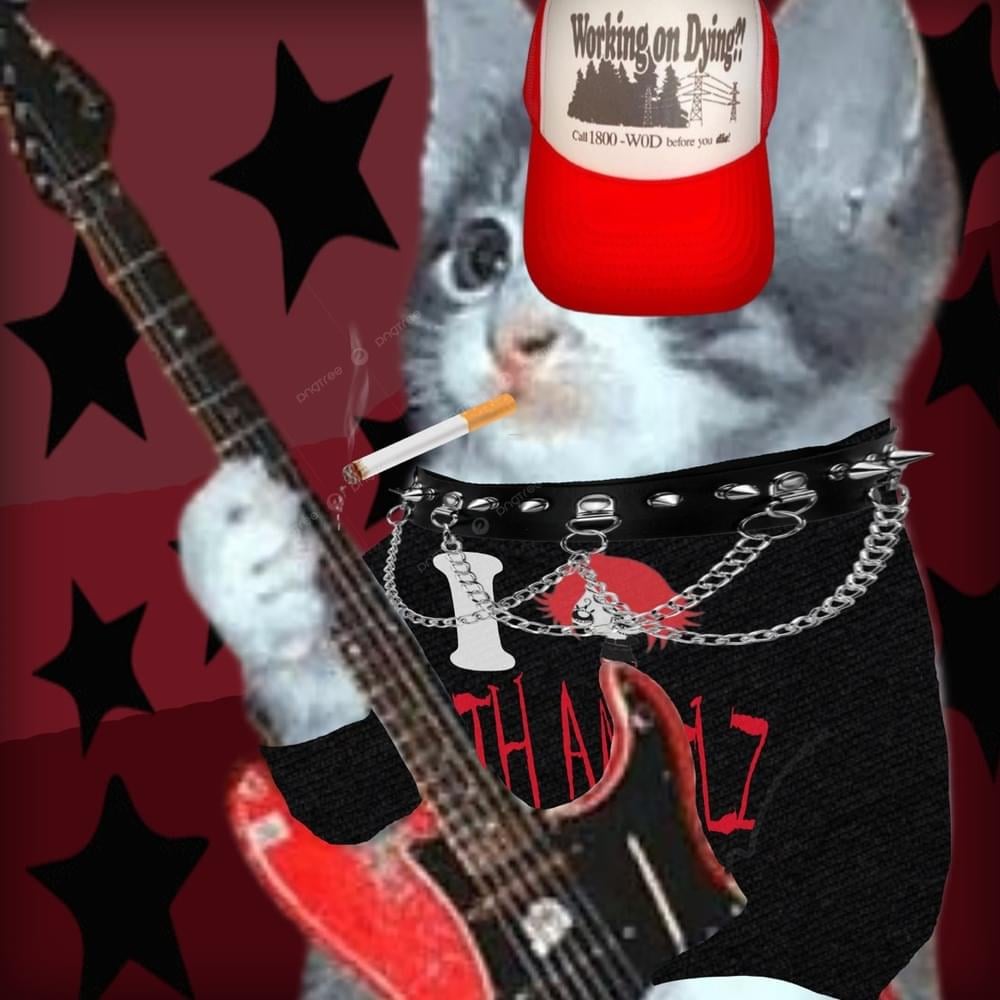 Wifiskeleton Wallpapers - Wallpaper Cave