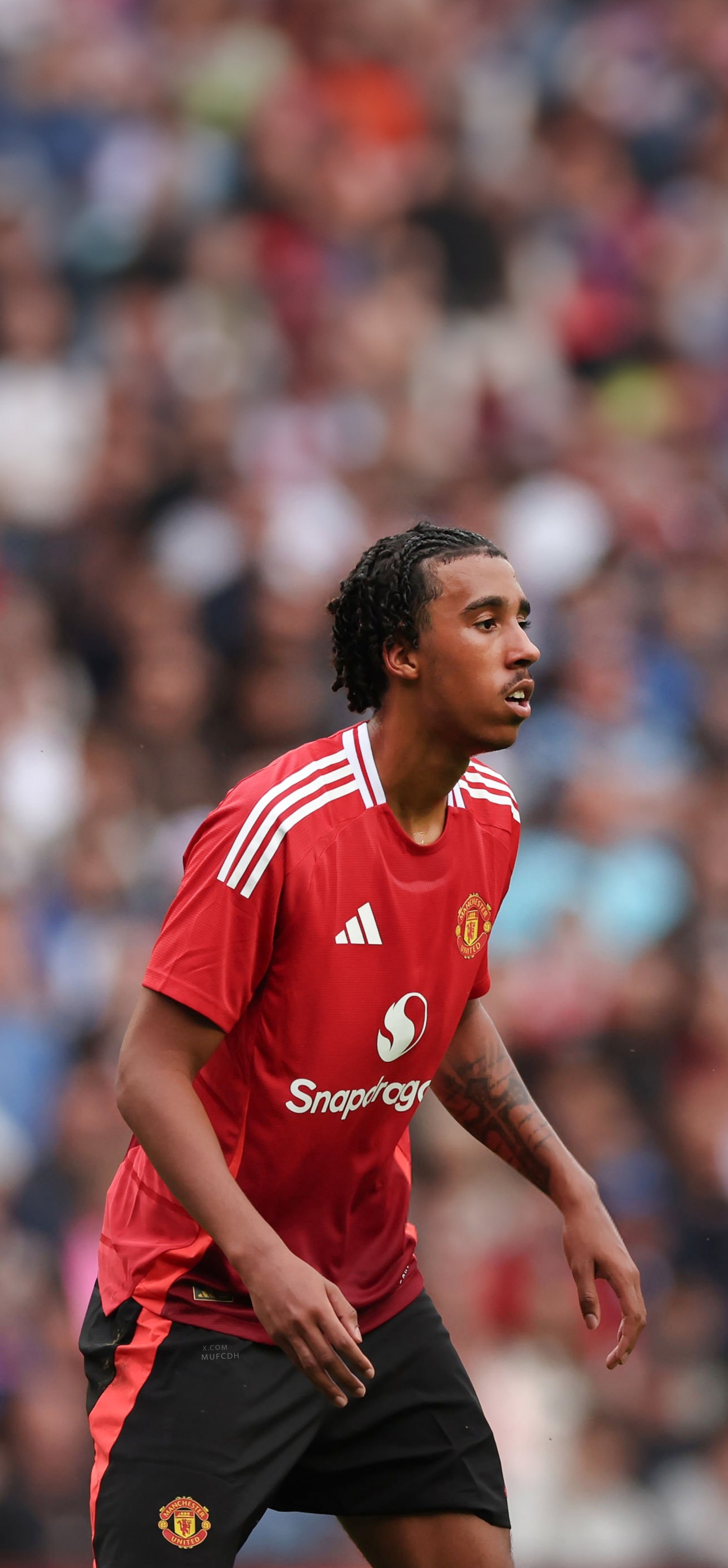 Leny Yoro Wallpapers - Wallpaper Cave