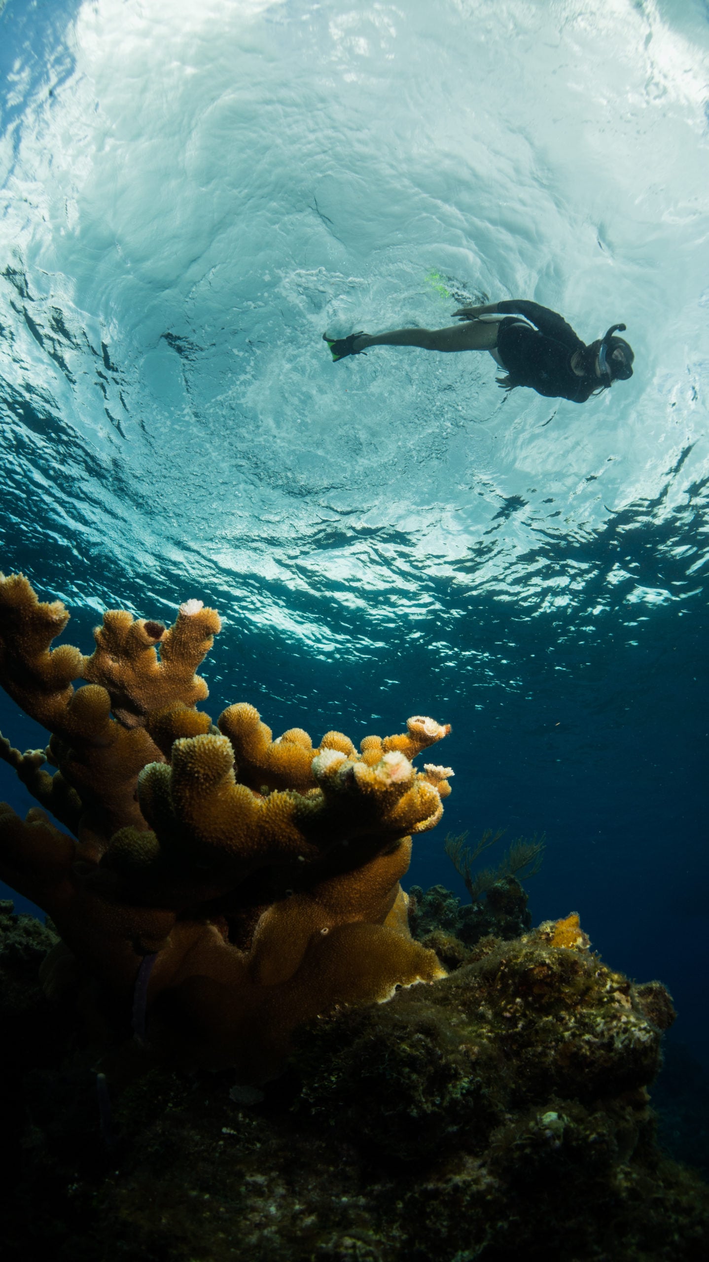 Snorkeling Wallpapers - Wallpaper Cave