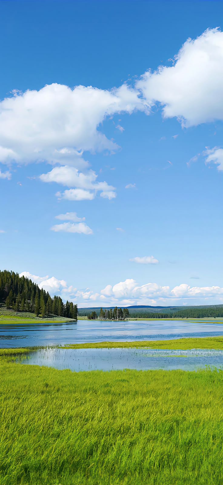 Summer Nature Fields Lake Wallpapers - Wallpaper Cave