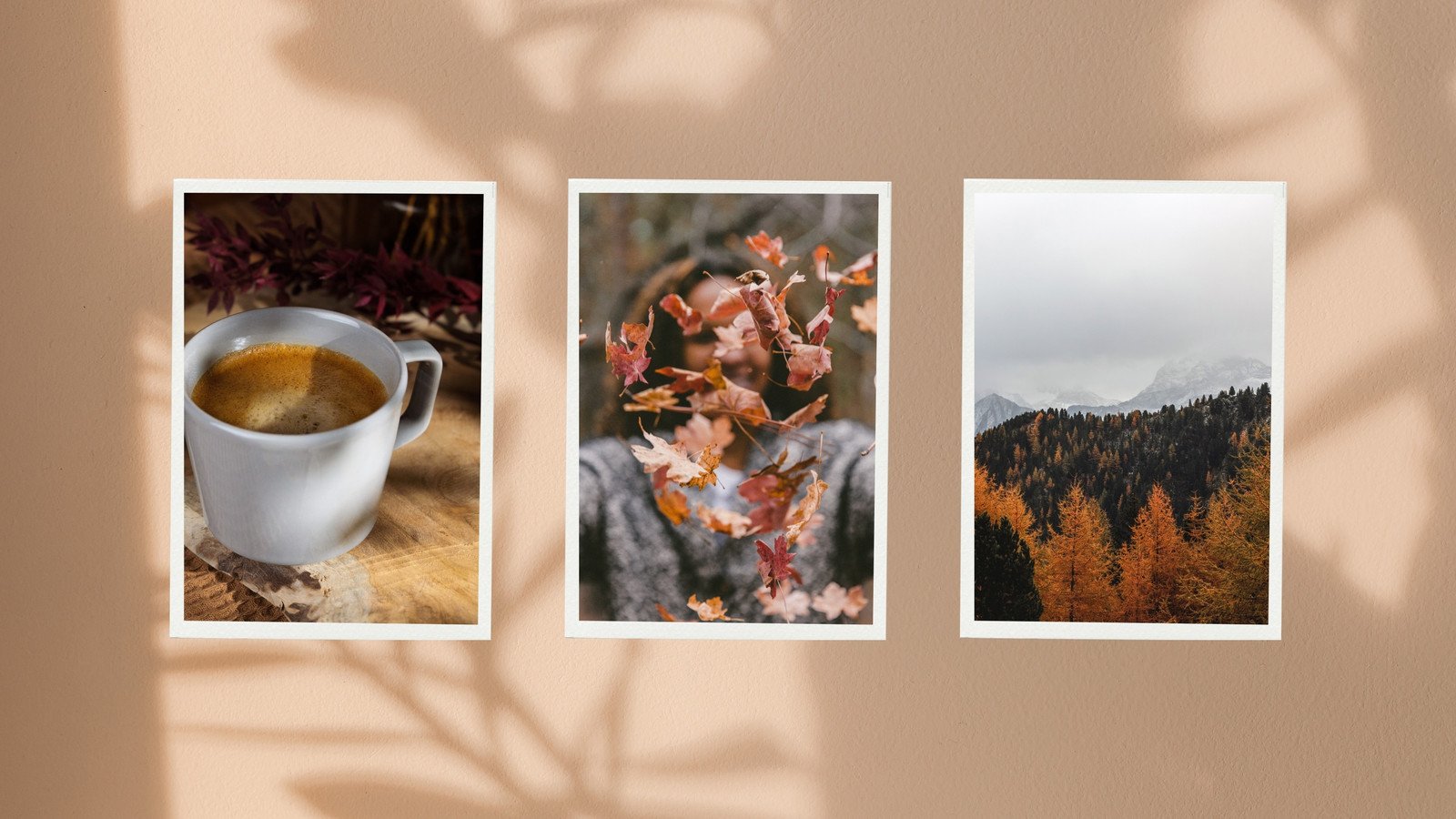 Study Autumn Wallpapers - Wallpaper Cave