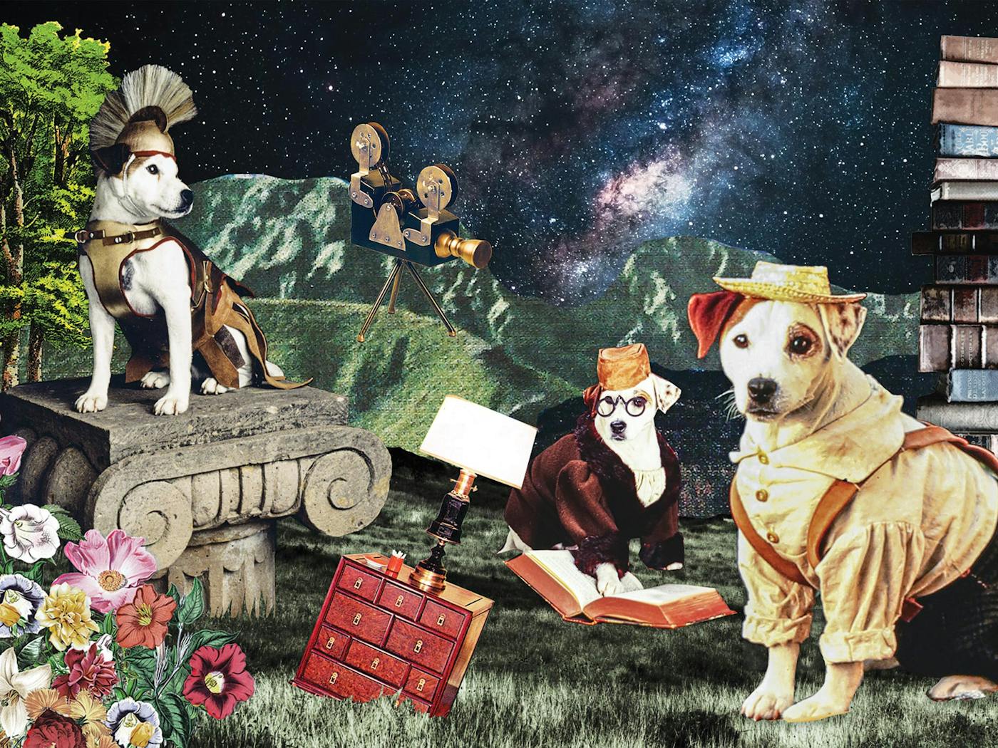 Wishbone Wallpapers - Wallpaper Cave